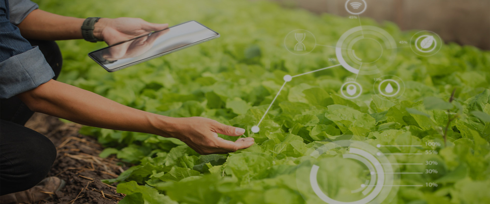Implementation of Digital Farming Solution & Mobile App