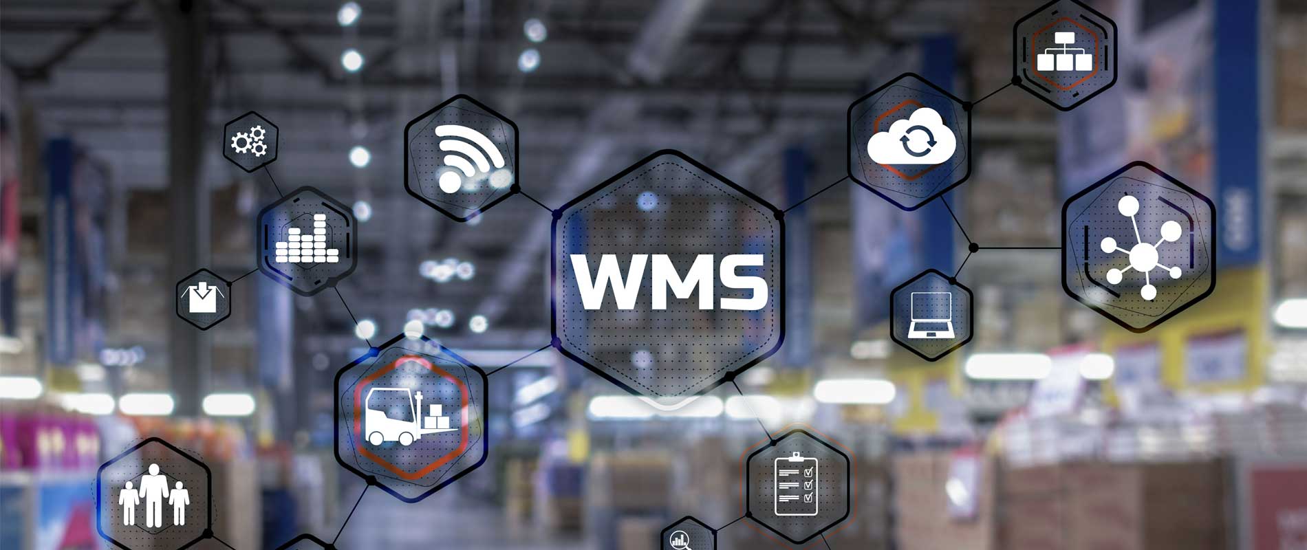 Supply Chain Transformation of warehouse by endto-end implementation of ...