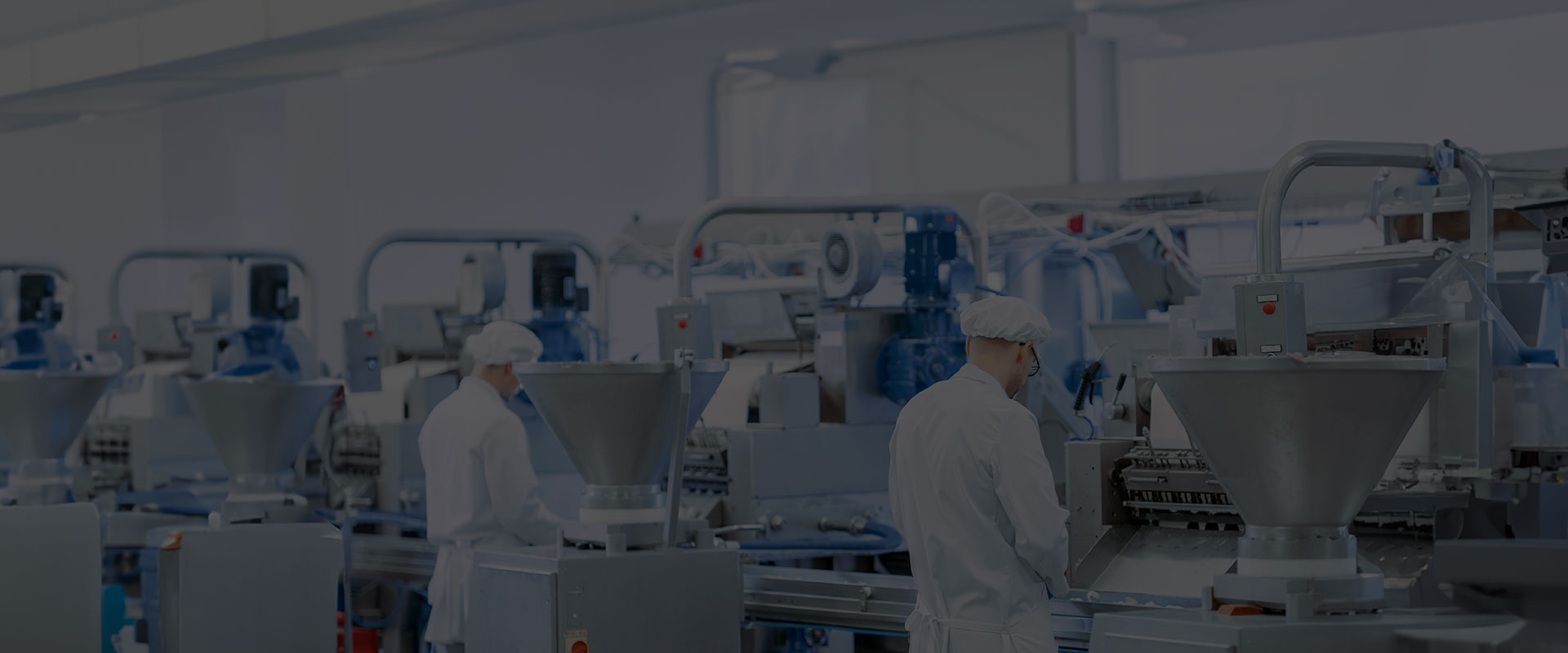 Quintiq Demand and Supply Planning Solution for a leading Protein ...