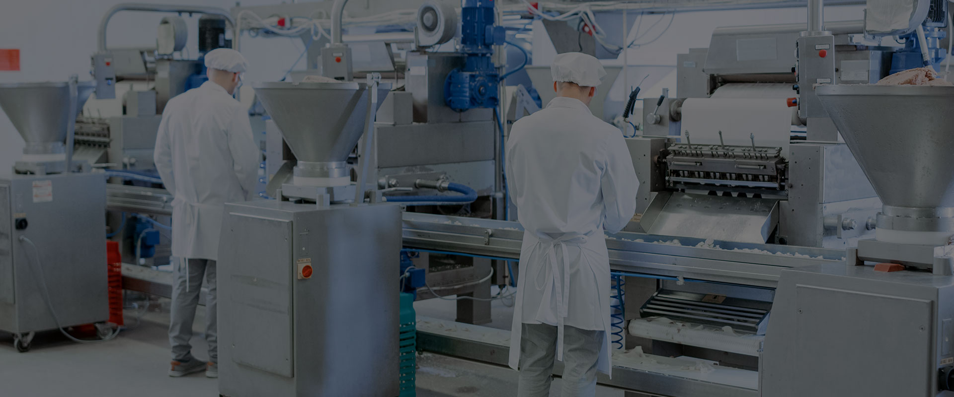 Quintiq Upgrade to enhance market demand predictions for a Leading ...